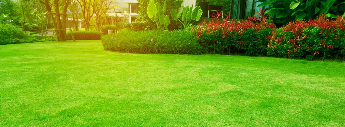 Happy Grass. Happy Customers. – Happy Grass Outdoor