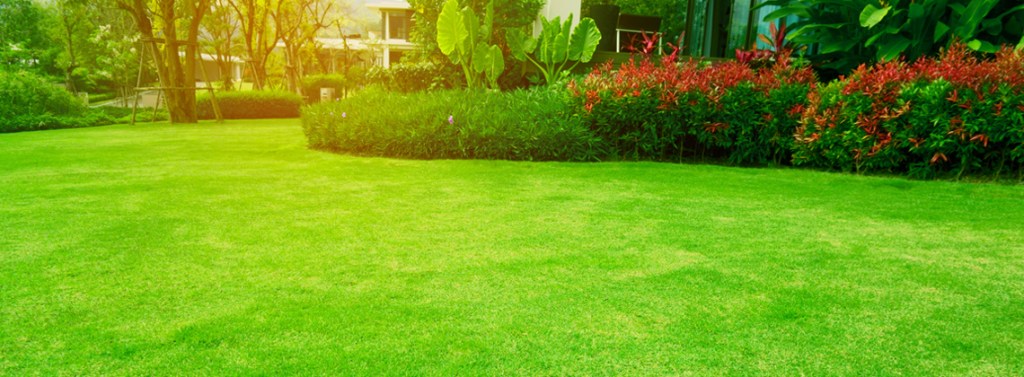 Happy Grass Outdoor – A Happy Client Every Time.