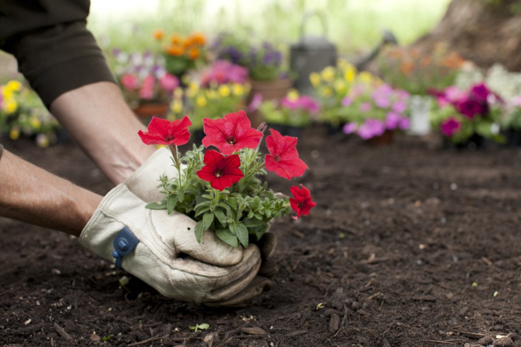 Happy Grass Outdoor – A Happy Client Every Time.